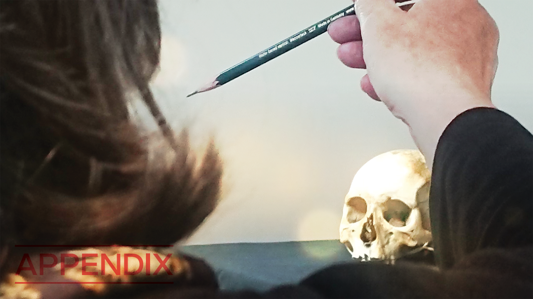 Basic Bone Croquis - Medicinsk Museion