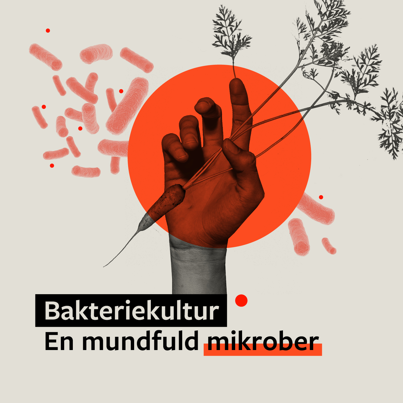 Bakteriekultur – vores liv i mikrobernes verden - Medicinsk Museion